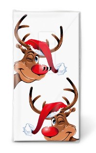 TISSUES - Rudolph – Cafe Supply