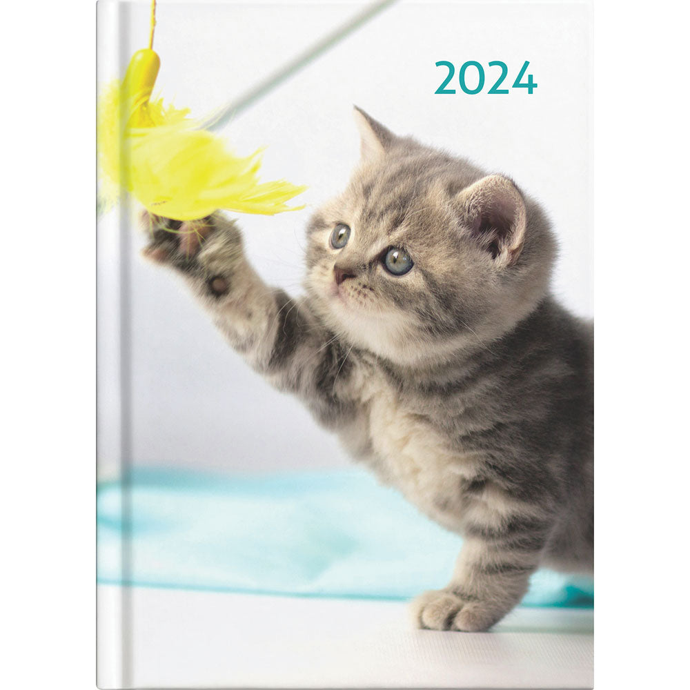 Collins Diary A53 Cats & Dogs Even Year – Cafe Supply